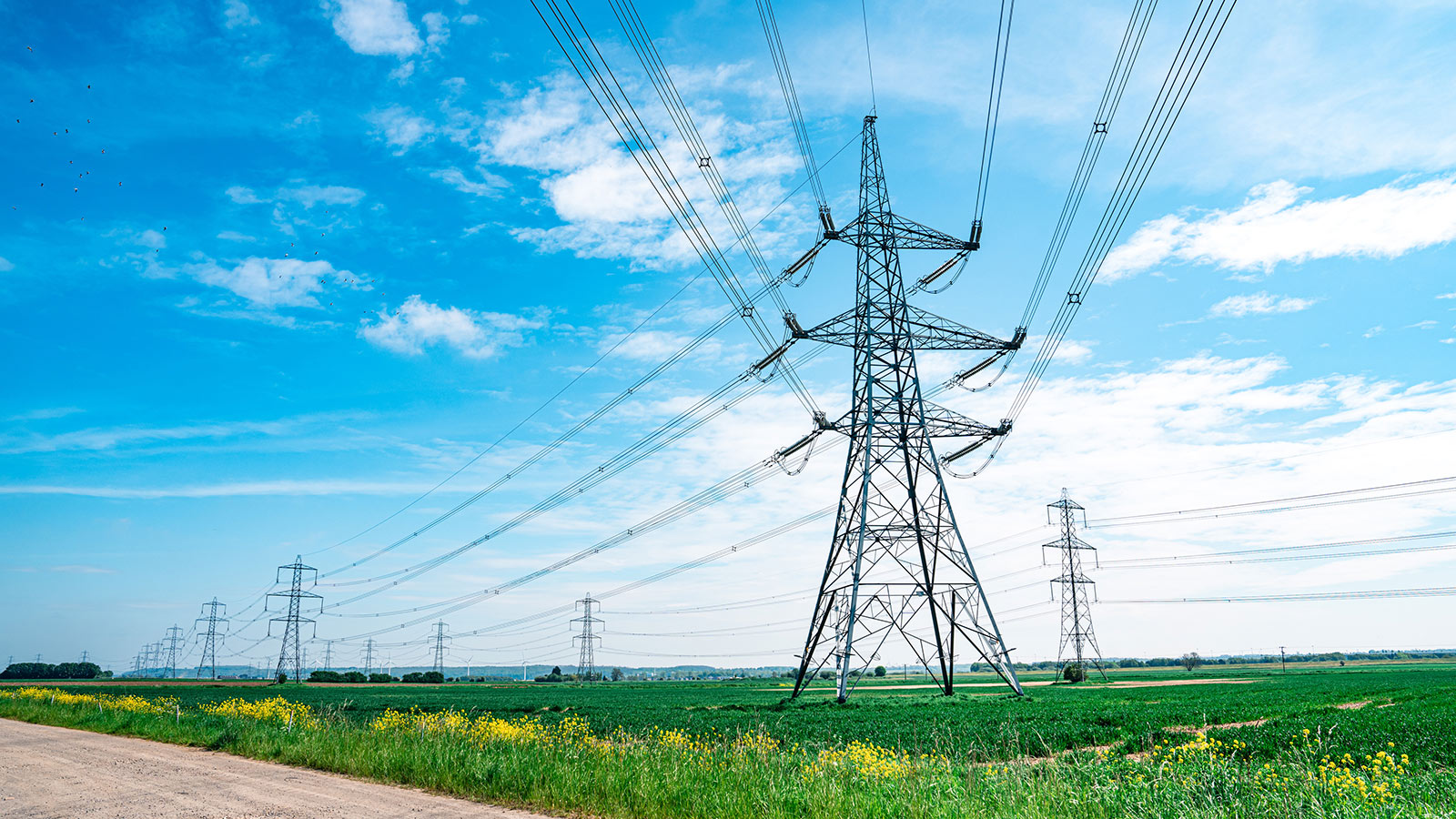 Mace Group | National Grid VIP Portfolio