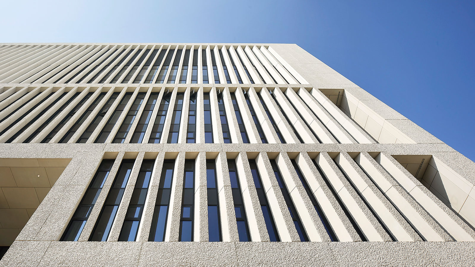 Mace Group | Mace leadership